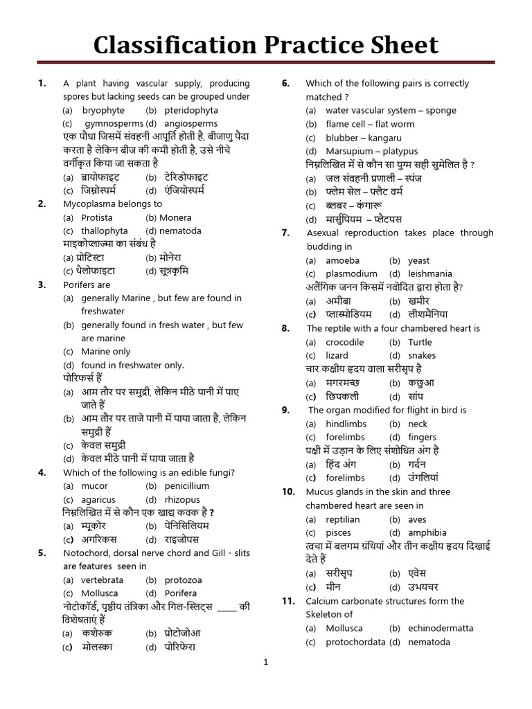Classification Practice Sheet | PDF