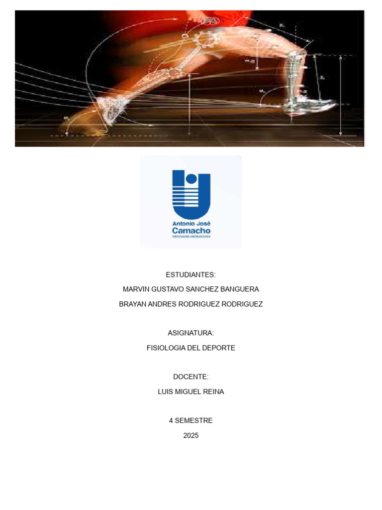 Infografía Diversidad Funcional - Compressed | PDF | Ejercicio físico | Fisiología