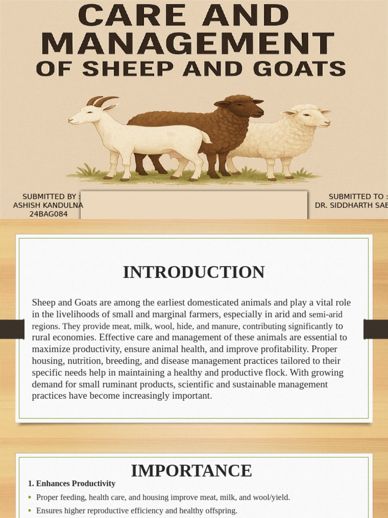 Sheep And Goat Management Essentials Pdf Sheep Goat