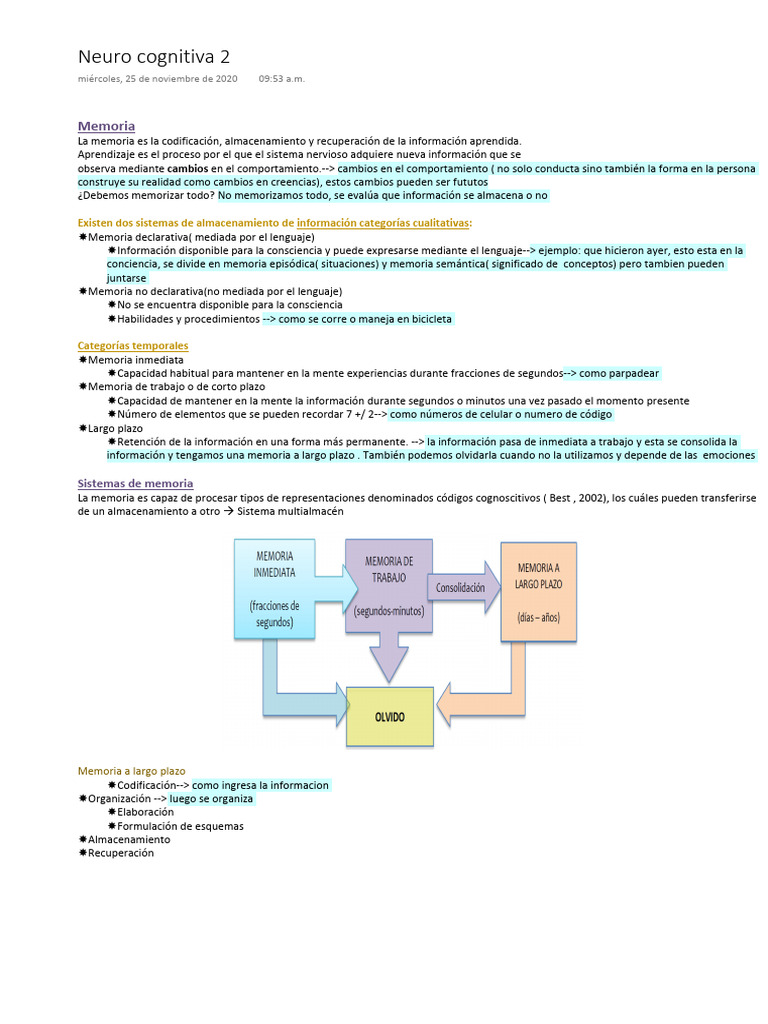 21 Neuro Cog | PDF