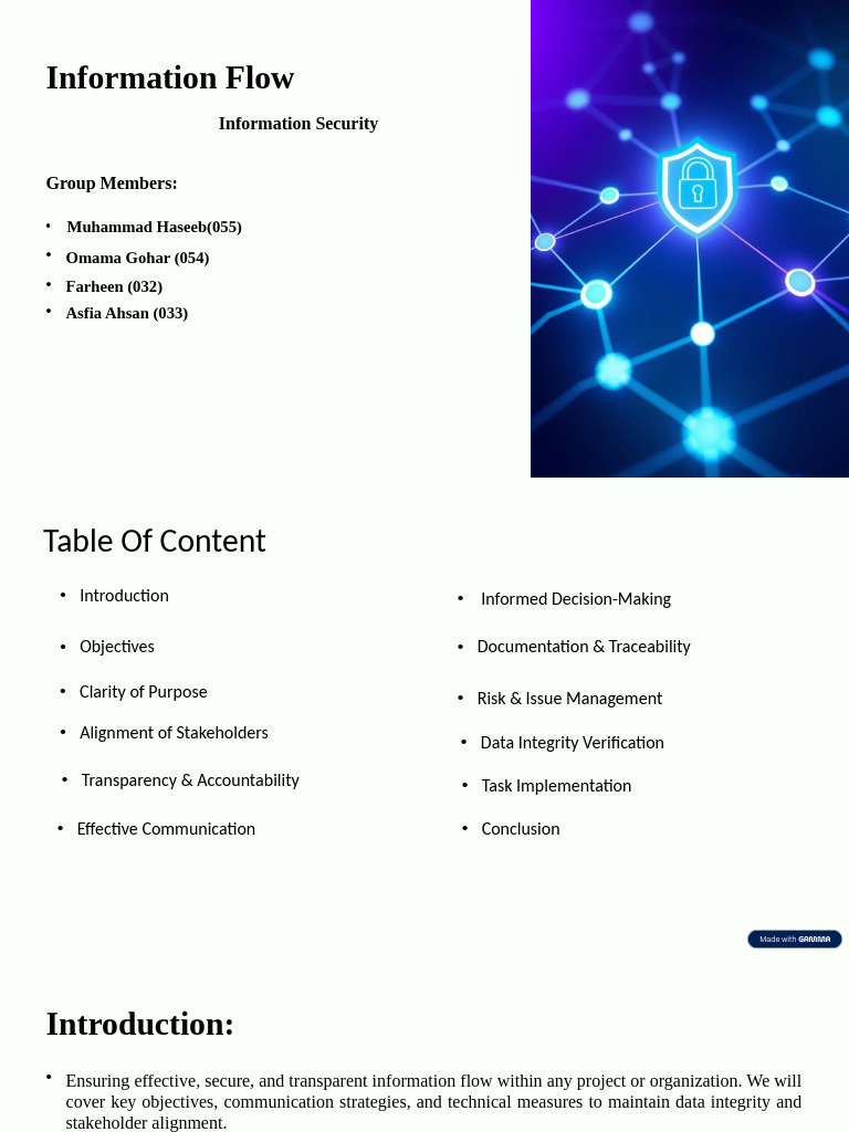 Information Flow PPT Information Securityyyy - PPTXX | PDF | Encryption | Public Key Cryptography