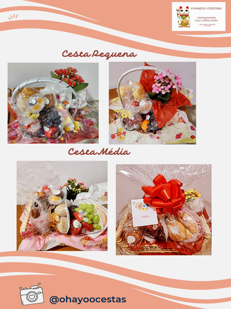 Catálogo Modelos da Ohayoo Cestas | PDF