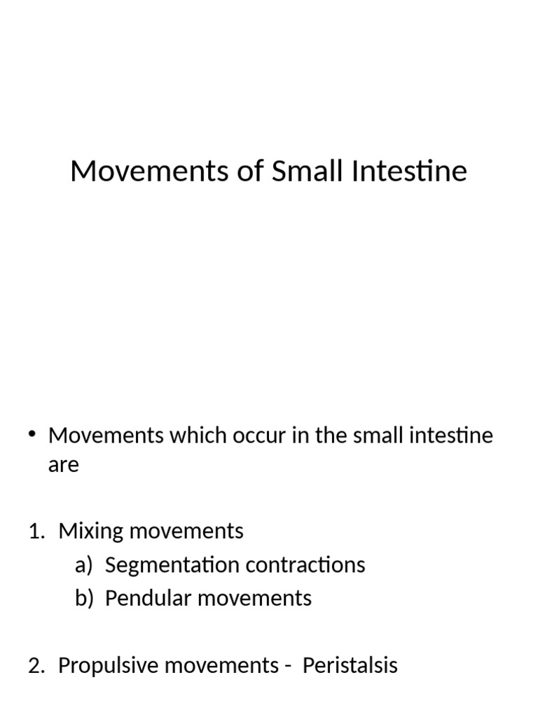 Movements of Small Intestine | PDF | Gastrointestinal Tract | Small ...