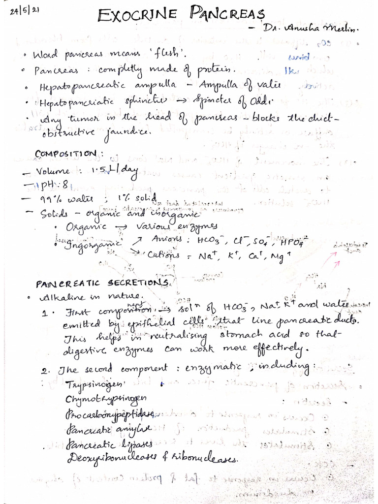 Exocrine Pancreas | PDF