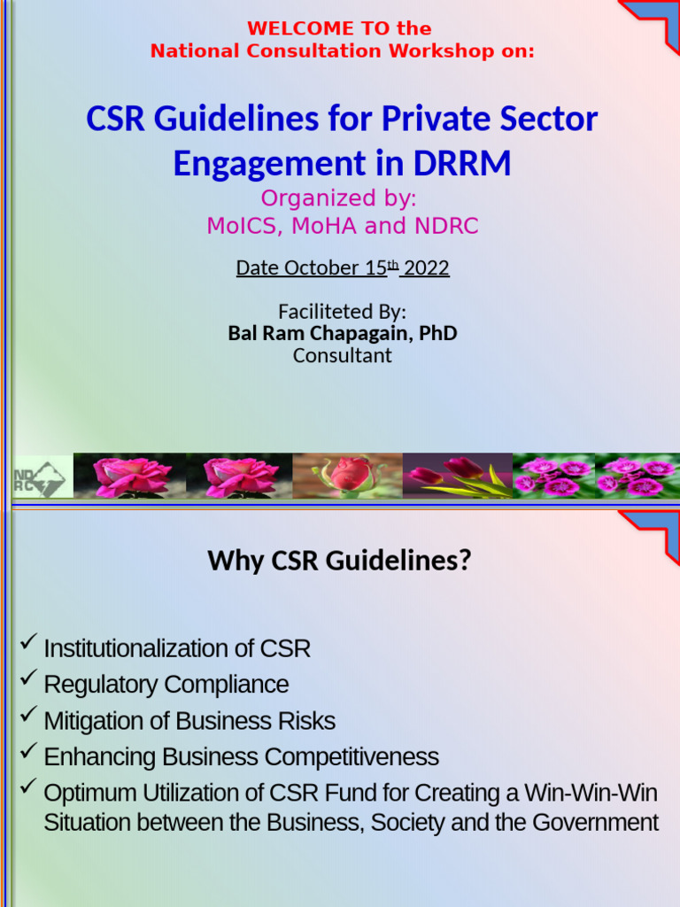 CSR Guidelines For Private Sector Engagement in CSR DRRM 2023 | PDF ...