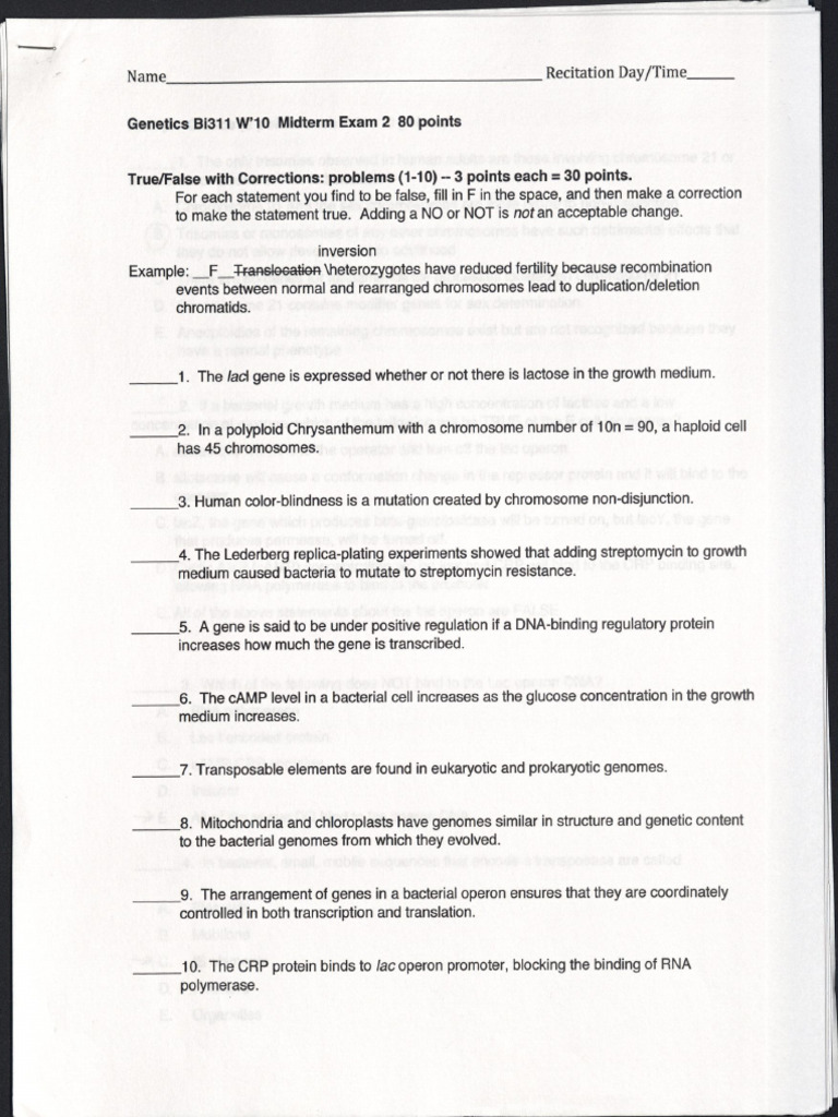 Midterm Exam 2 | PDF