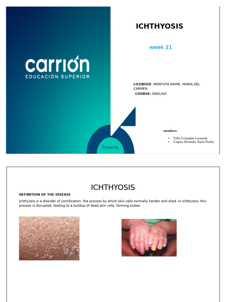 Examen Grupal Ingles - Katia Caspito y Cristofer Tello | PDF