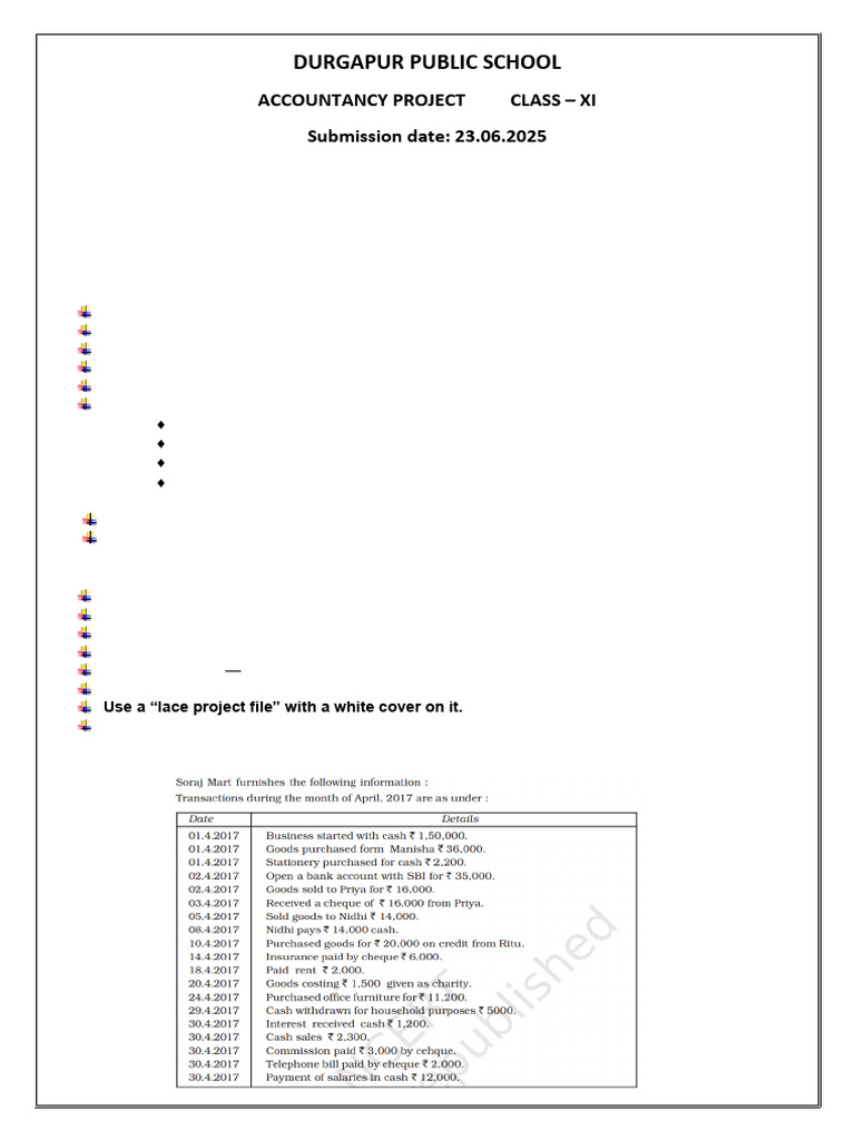 Acct Project Class Xi | PDF