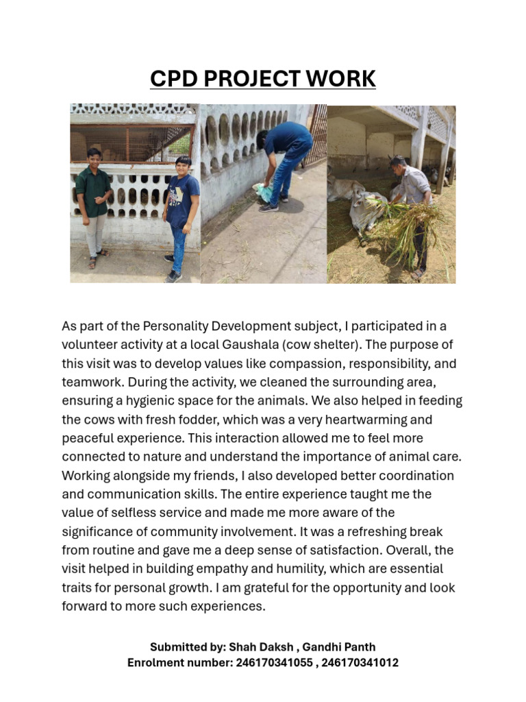 CPD Project Work | PDF