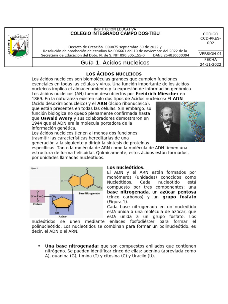 Guia 1. Acidos Nucleicos | PDF | Rna | Adn