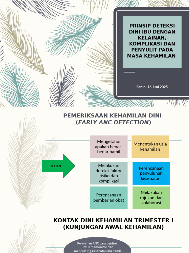 PPT 16juni Deteksi Dini Pada Kehamilan | PDF