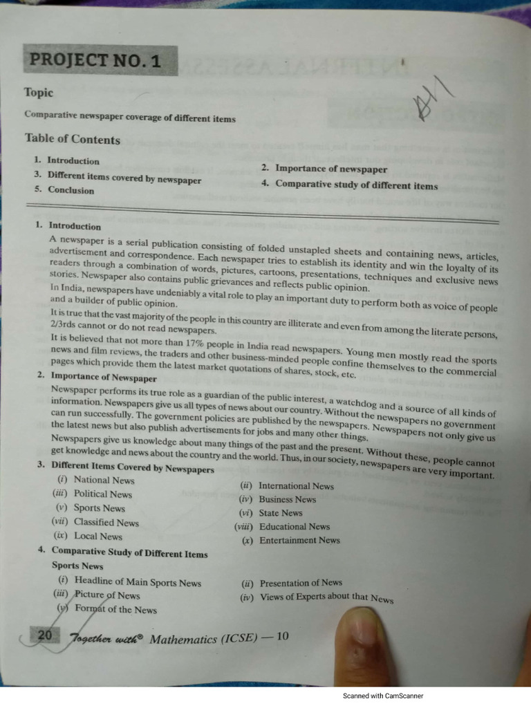 Project Class 10 ICSE | PDF