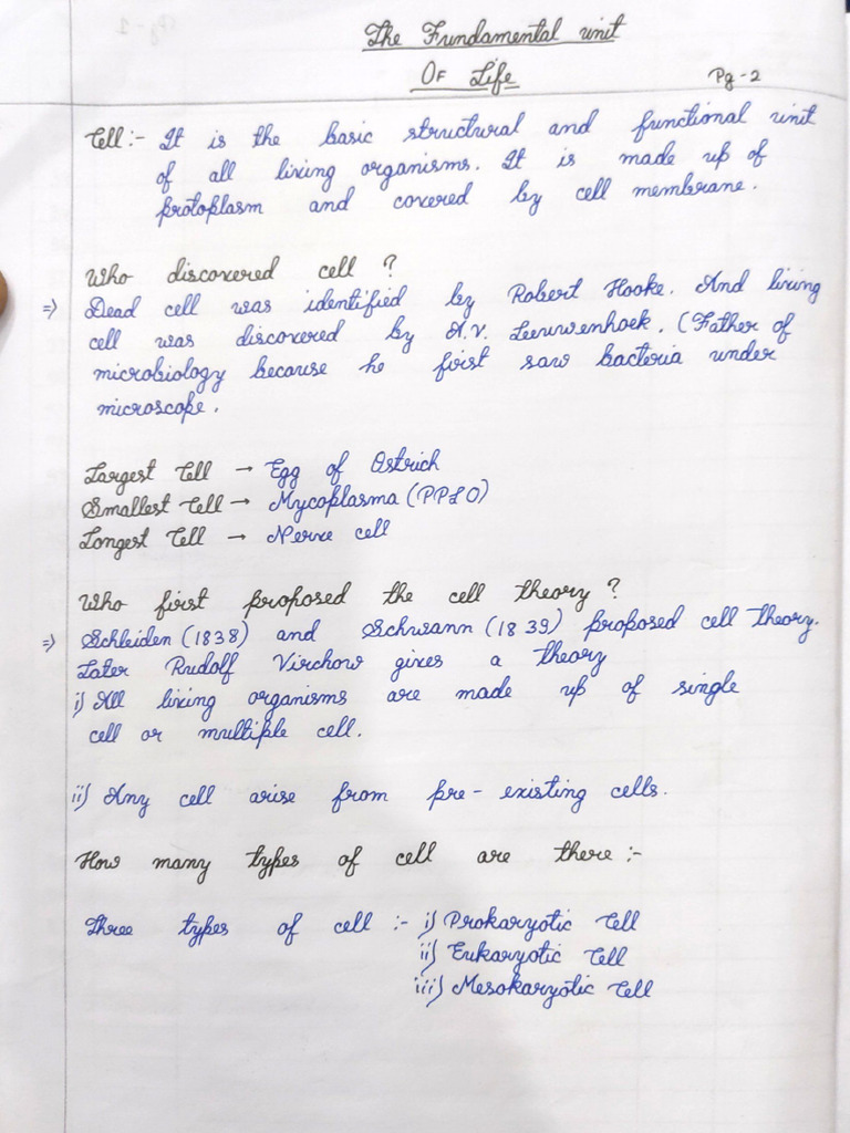 Notes On Cell From NCERT | PDF