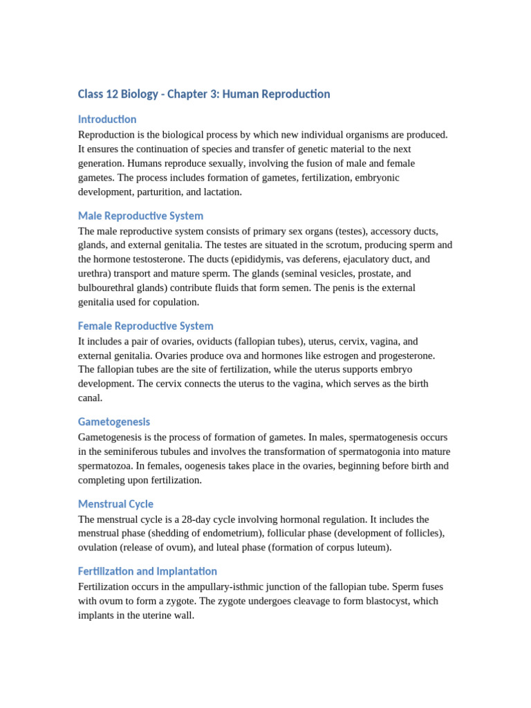 Human Reproduction in Class 12 Biology | PDF | Reproductive System ...