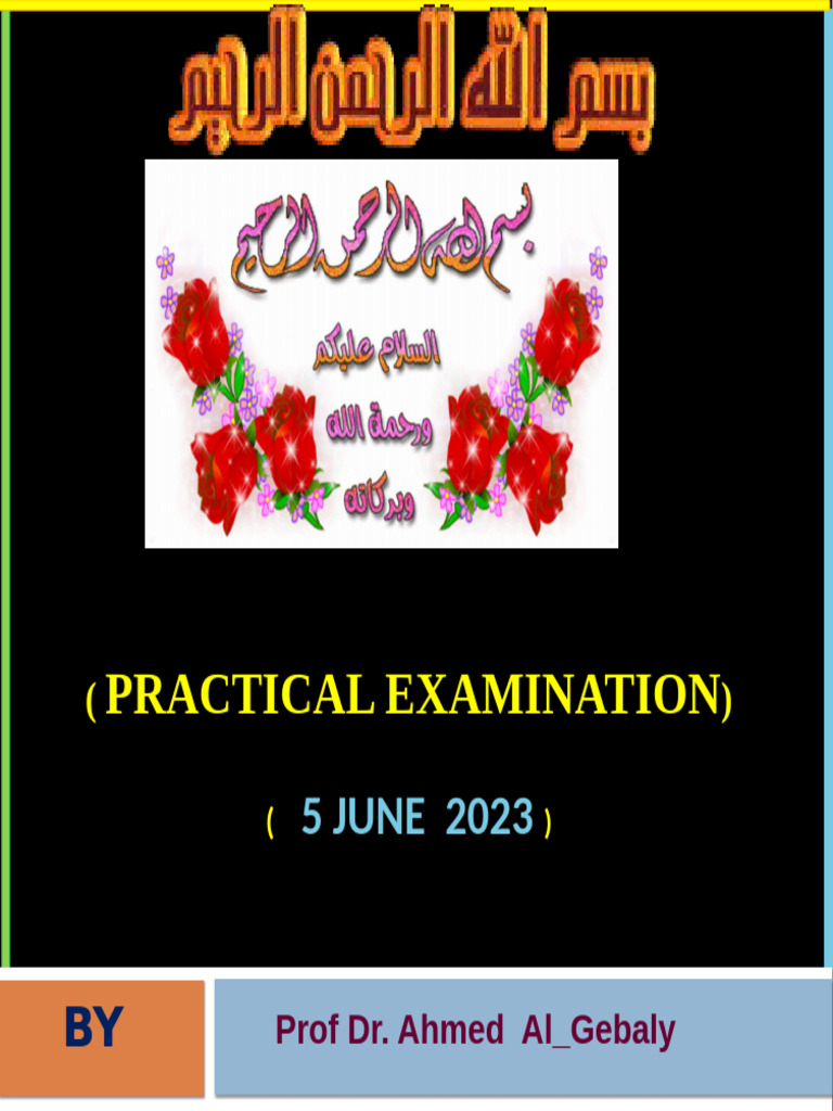 Brain Anatomy Practical Exam Questions | PDF | Brain | Pituitary Gland
