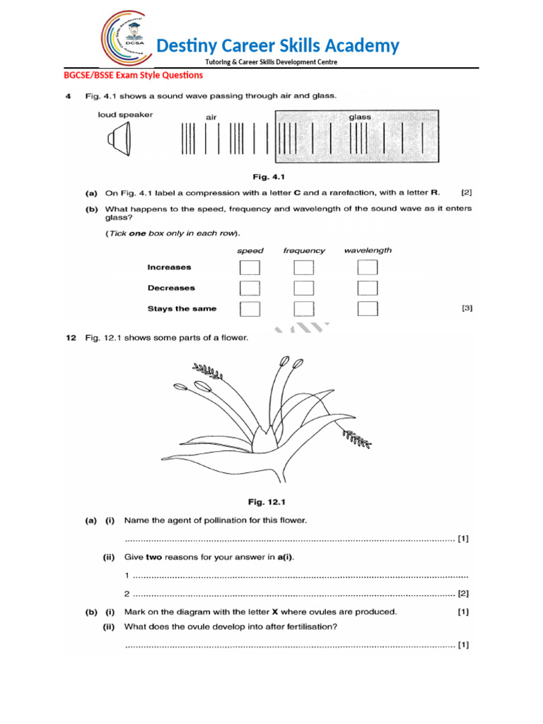 BGCSE & BSSE Sciences Exam Style Questions | PDF