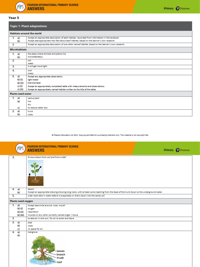 Year 5 Science: Plant Adaptations Answers | PDF | Digestion | Planets