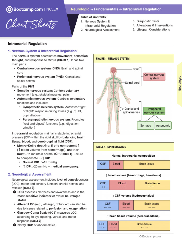 Intracranial Regulation Cheat Sheet | PDF | Nervous System | Central ...