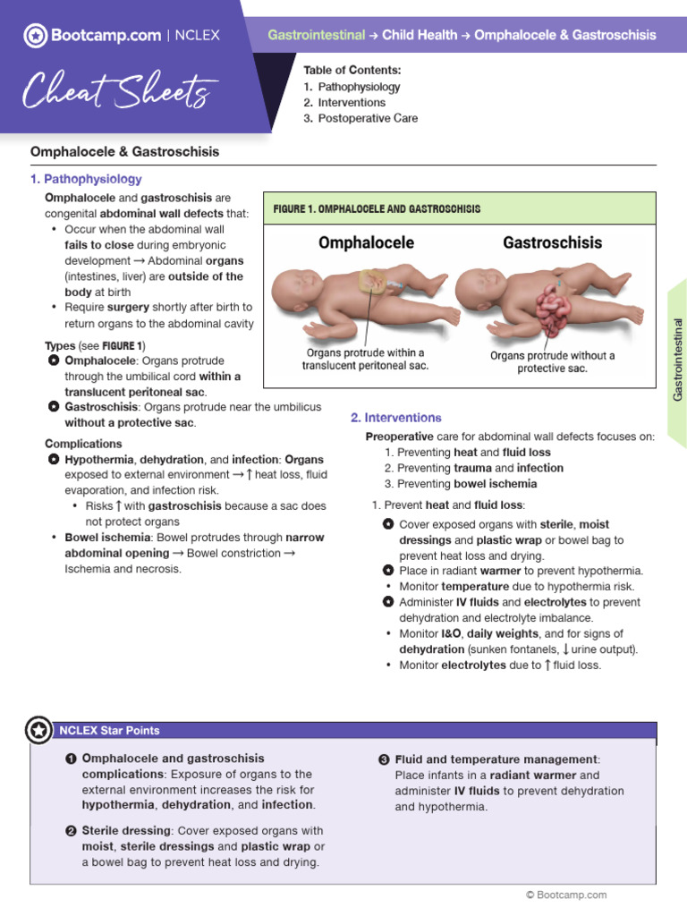 Omphalocele & Gastroschisis Cheat Sheet | PDF | Medical Specialties ...