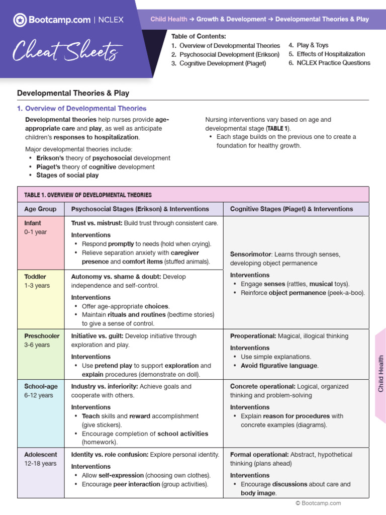 Developmental Theories in Child Health | PDF | Cognitive Development ...