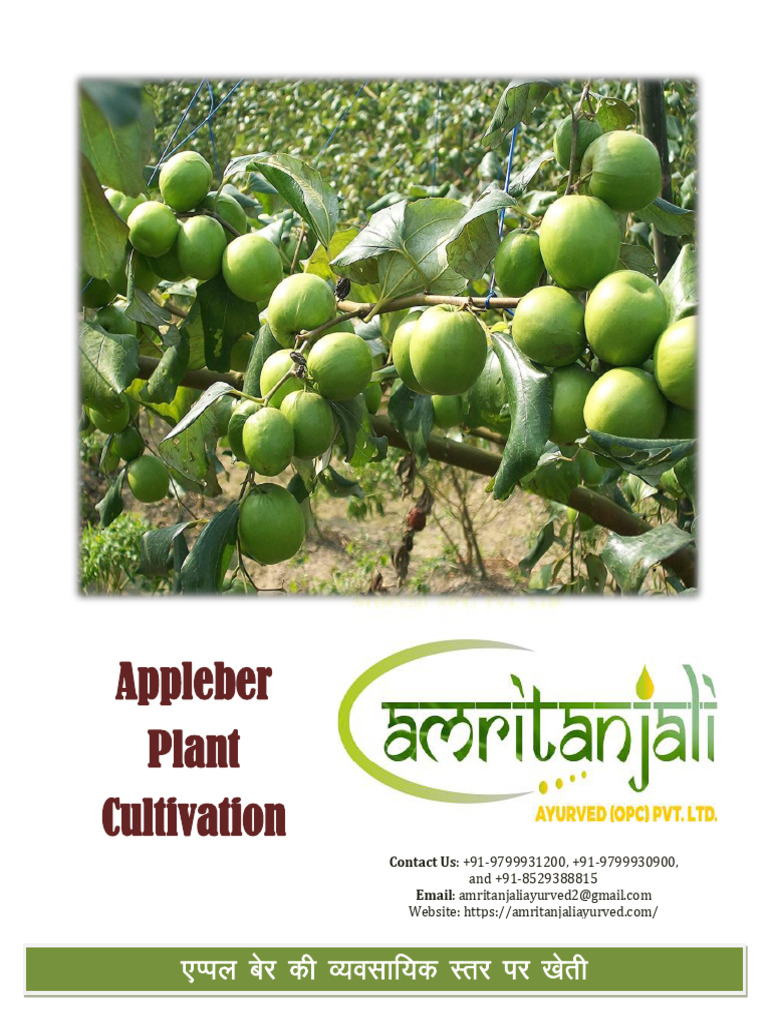 Ber 1 | PDF | Agriculture | Plants