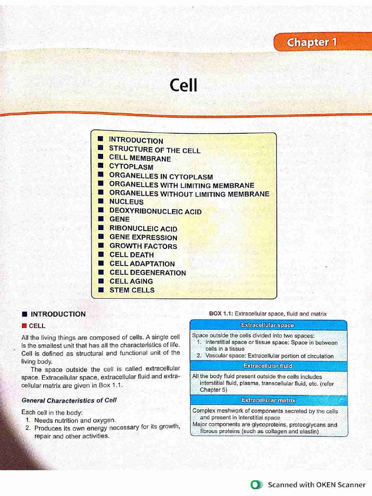 Cell | PDF
