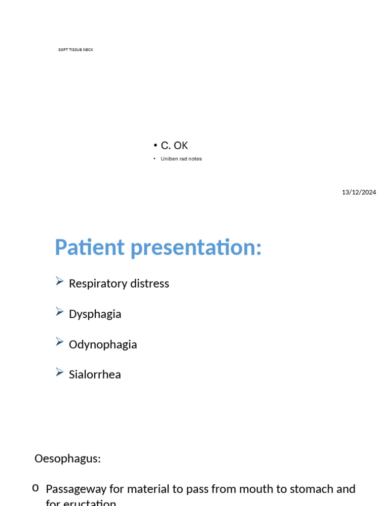 Soft Tissue Neck Cervical Spine L300 13122024 | PDF | Larynx ...