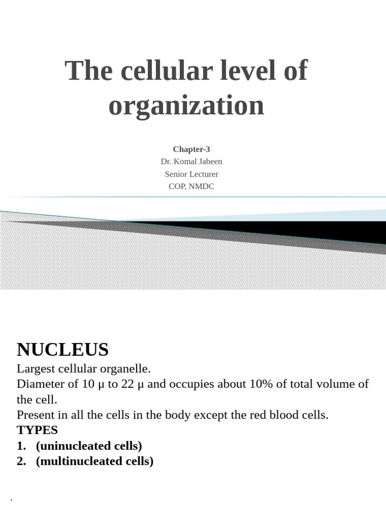 Lecture 7 (Physiology) 05-12-23 | PDF | Cell Nucleus | Cell (Biology)