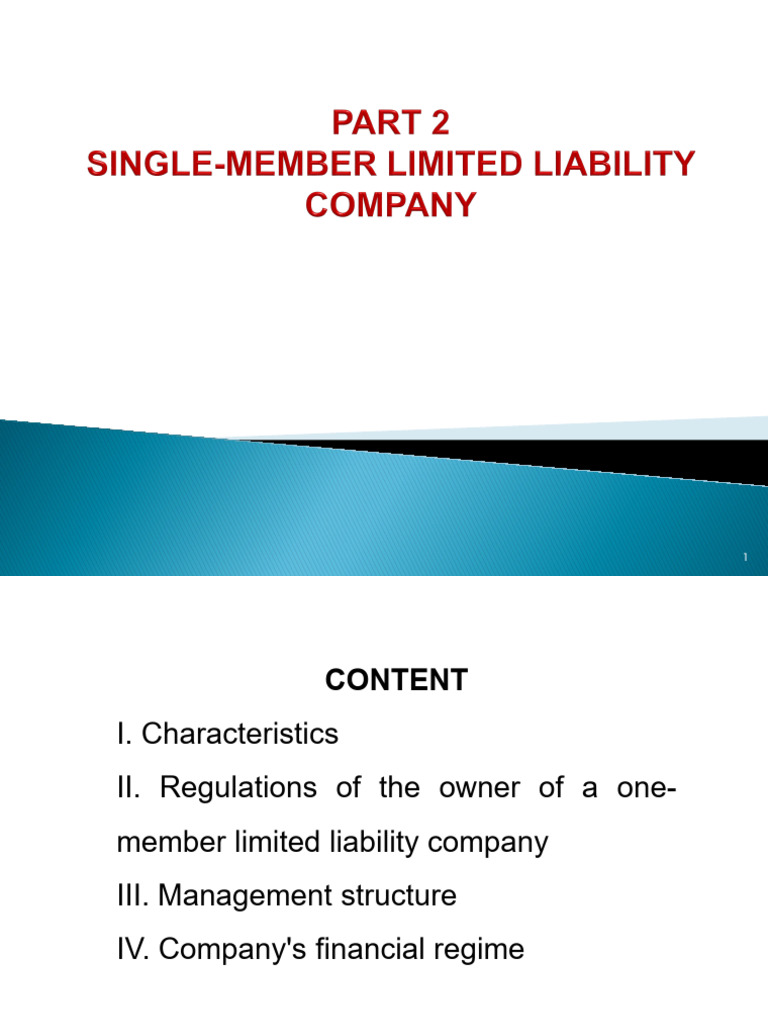 Chapter 4 Single-Member Limited Liability Company | PDF | Limited ...