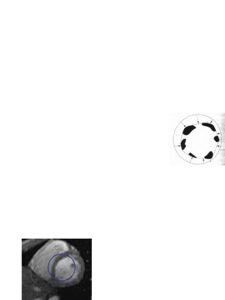 6 Active - Contour - Snakes | PDF | Applied Mathematics | Algorithms