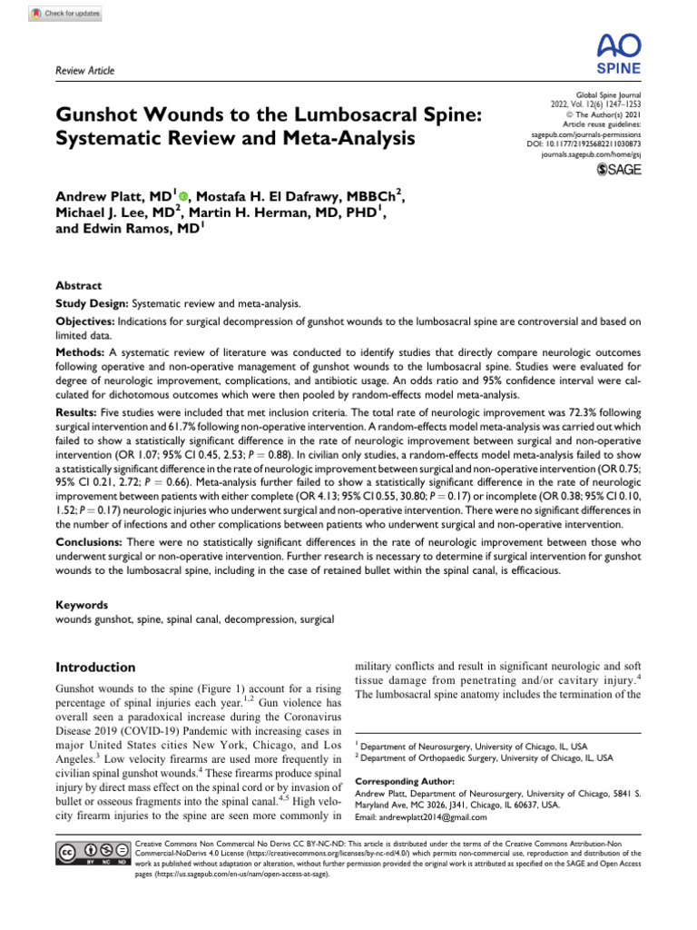 Platt Et Al 2021 Gunshot Wounds To The Lumbosacral Spine Systematic ...