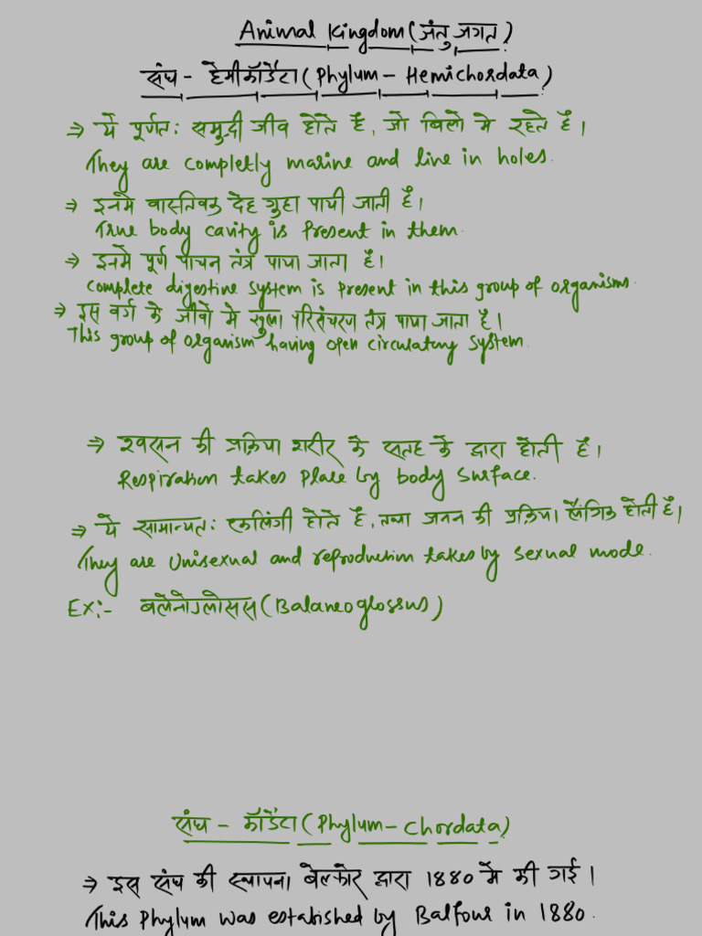 Bio Animal Kingdom 4 | PDF