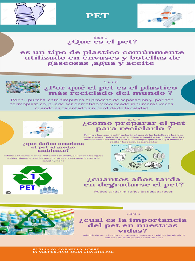 Pet PDF | PDF | El plastico | Sector secundario de la economía