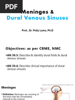 Dural Folds and Their Functions | PDF | Human Anatomy | Human Head And Neck