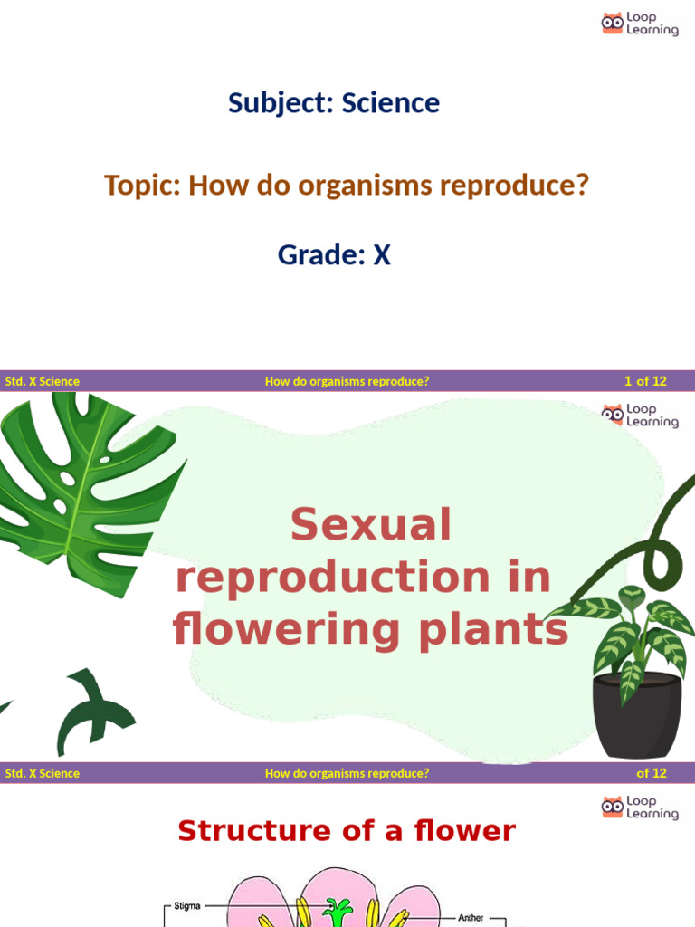 1721801948347.exit Task - A2 - How Do Organisms Reproduce - CH 7 - Sci ...