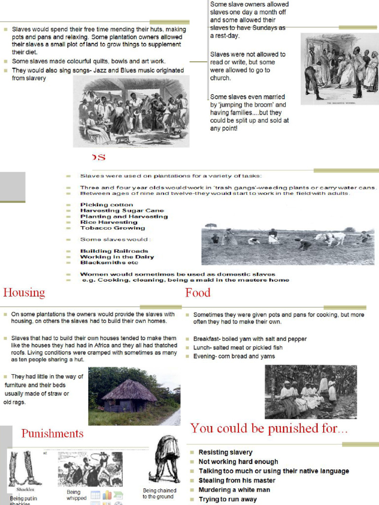 Life On Plantation | PDF