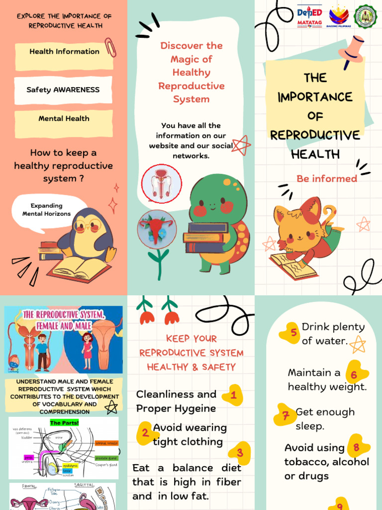 FAQ ES - IEC Brochure - The Importance Healthy Reproductive System ...