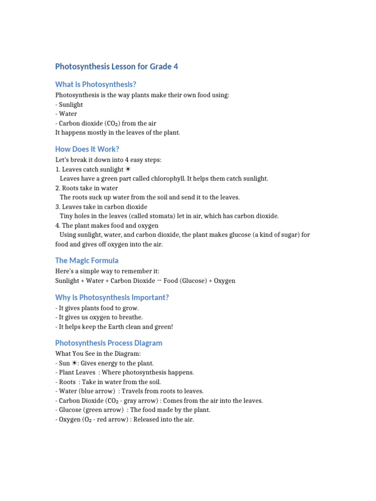 Photosynthesis Explained for Grade 4 | PDF