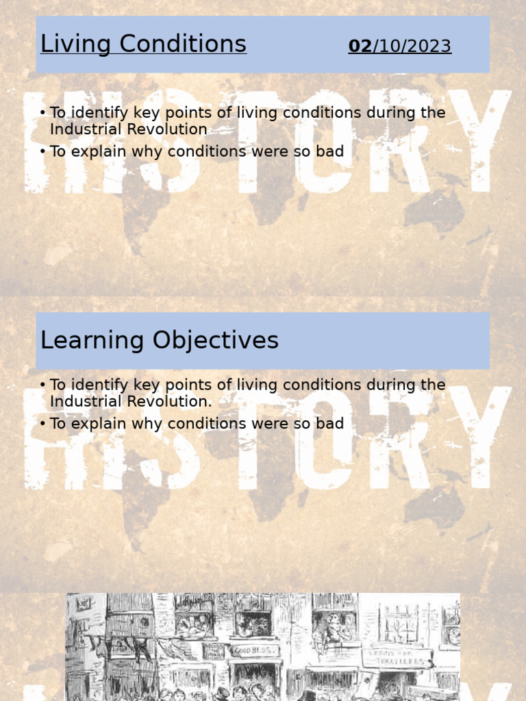 L1 IR Living Conditions | PDF