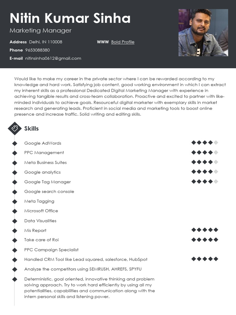 Nitin KumarSinha Resume | PDF | Digital Marketing | Search Engine Marketing