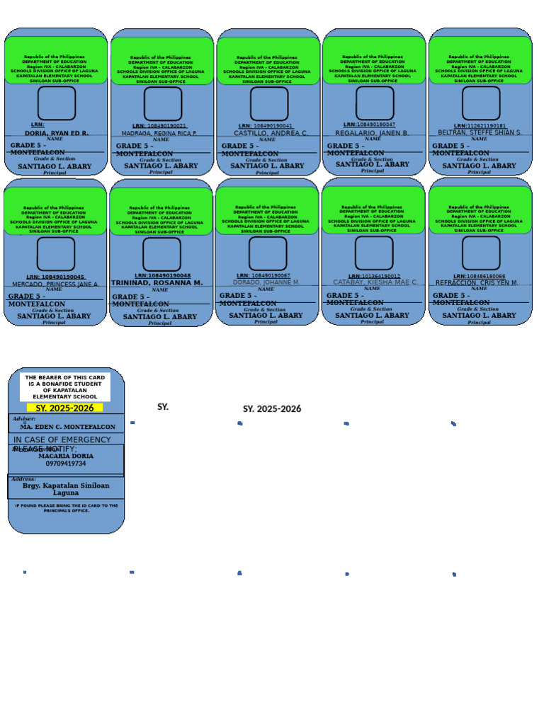 Id Template Final 2024 2025 | PDF | Government | Government Institutions