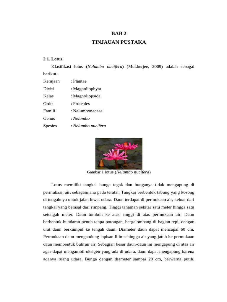 Tinpus Laporan 3 | PDF