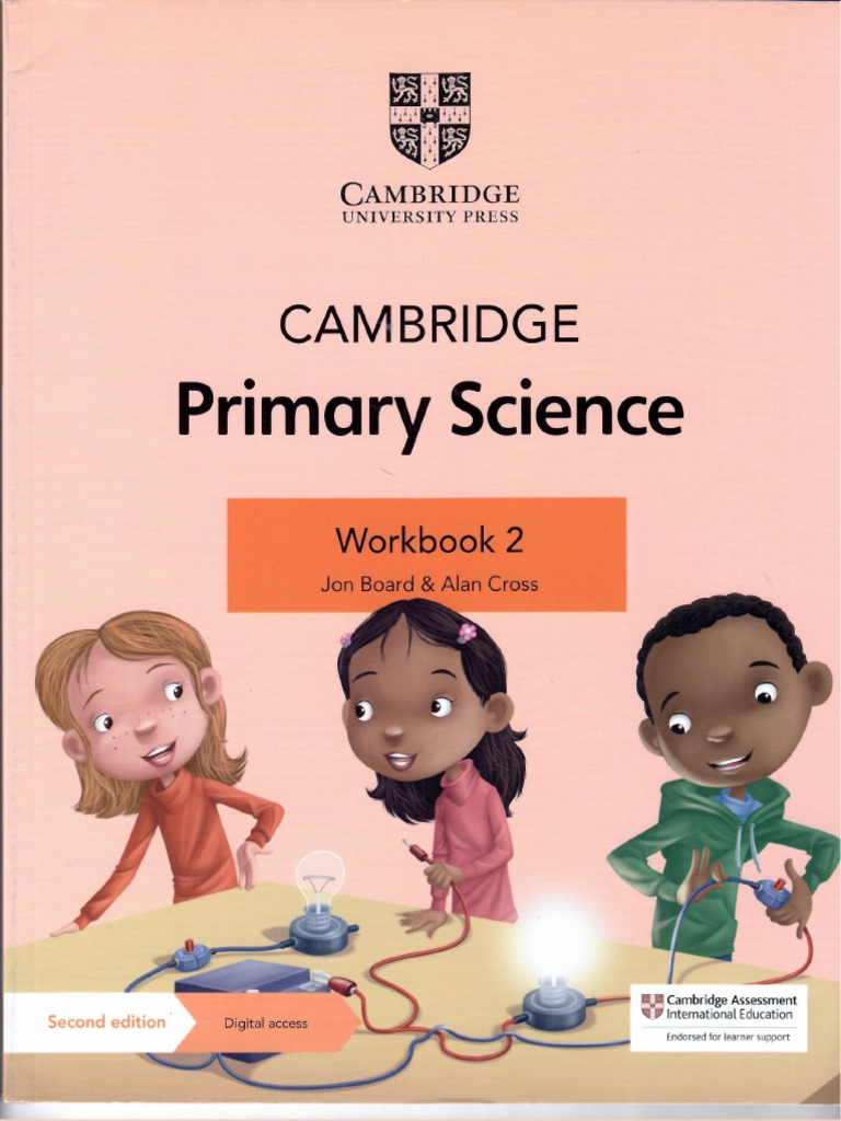 Grade 1 Workbook Chapter 1 Scan | PDF