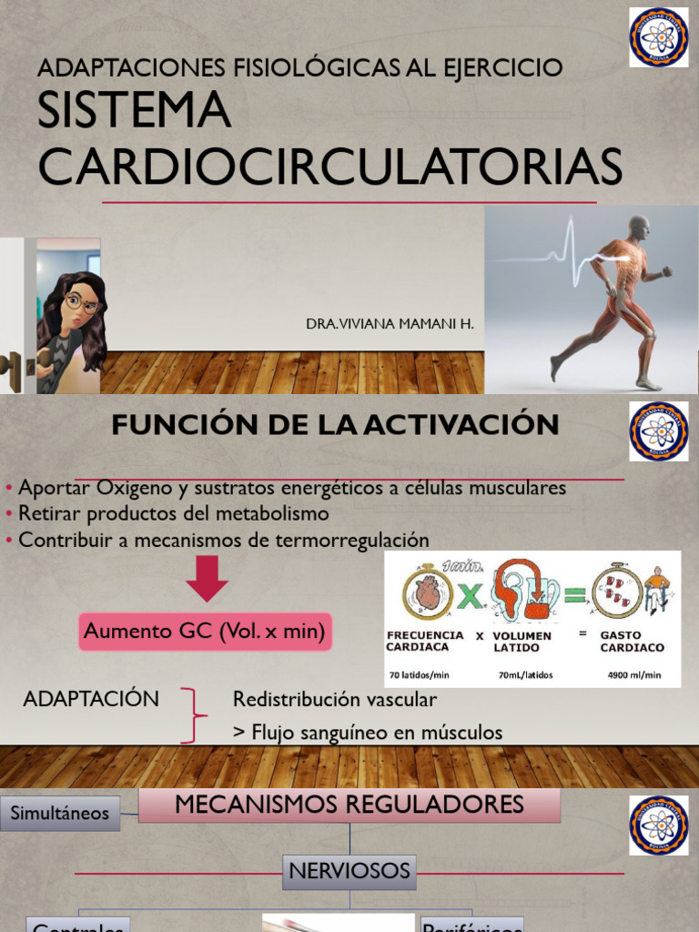 Tema 2.2 Adap Fisio Cardiovascular | PDF | Corazón | Hemodinámica