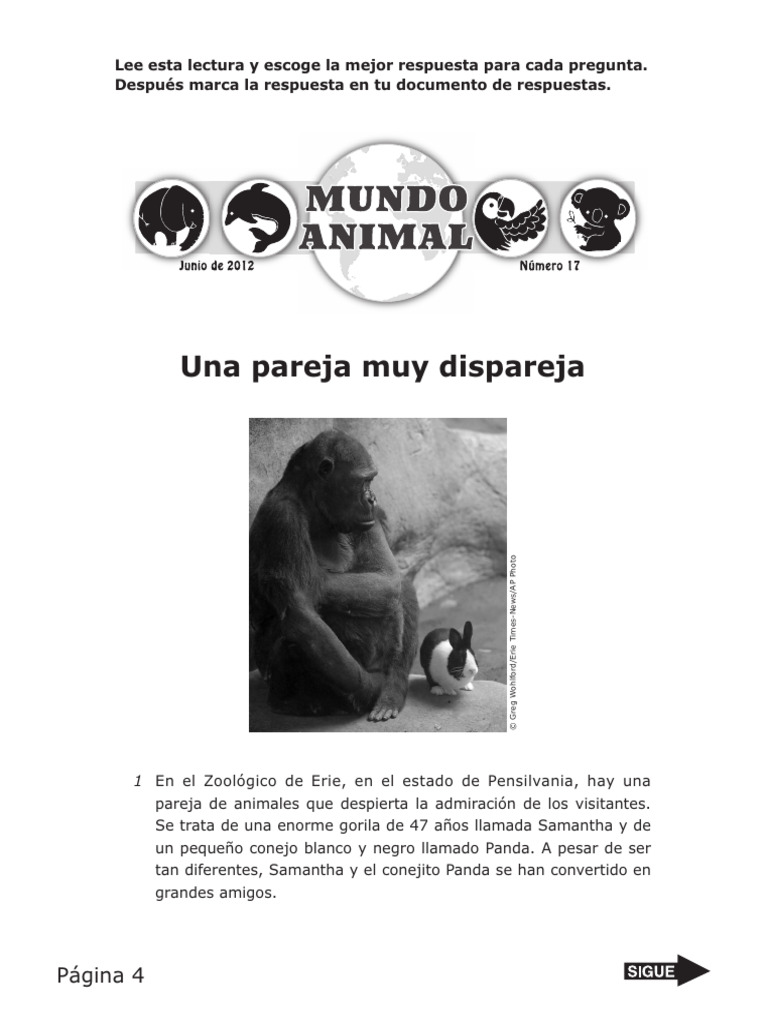 Amistad entre una gorila y un conejo | PDF | Beatrix Potter