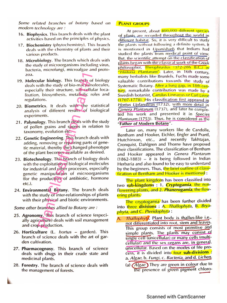 Plant Classification | PDF