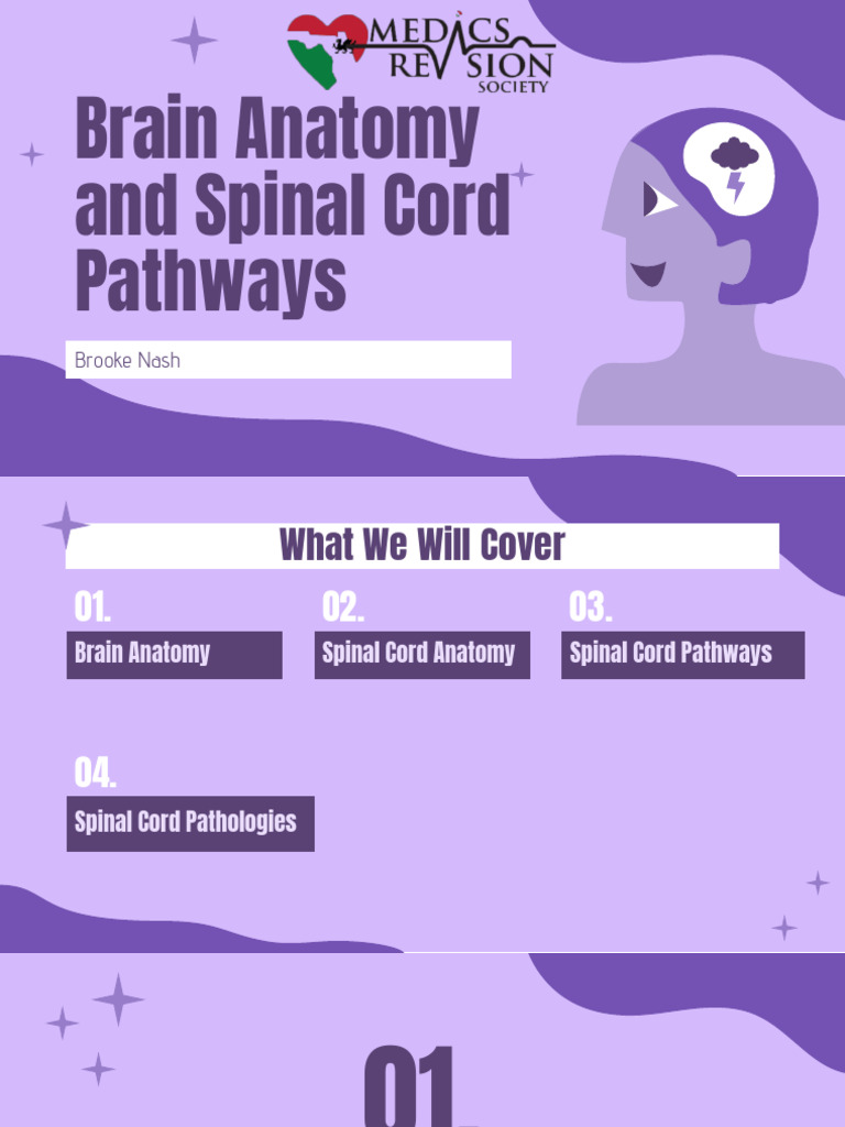 Brain Anatomy and Spinal Cord Pathways Notes | PDF | Spinal Cord ...