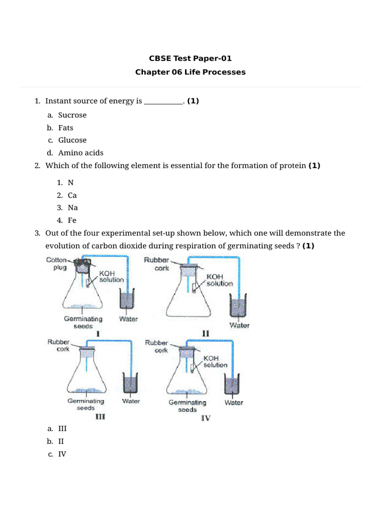 CBSE Class 10 Life Processes Test Paper | PDF | Cellular Respiration ...