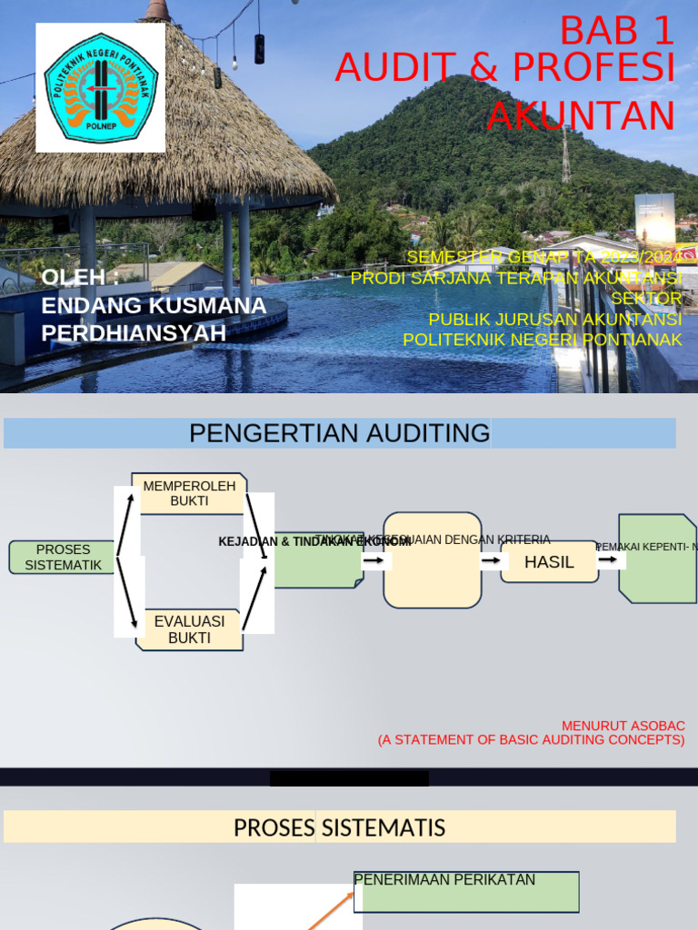 Bab 1 Audit & Profesi Akuntan | PDF