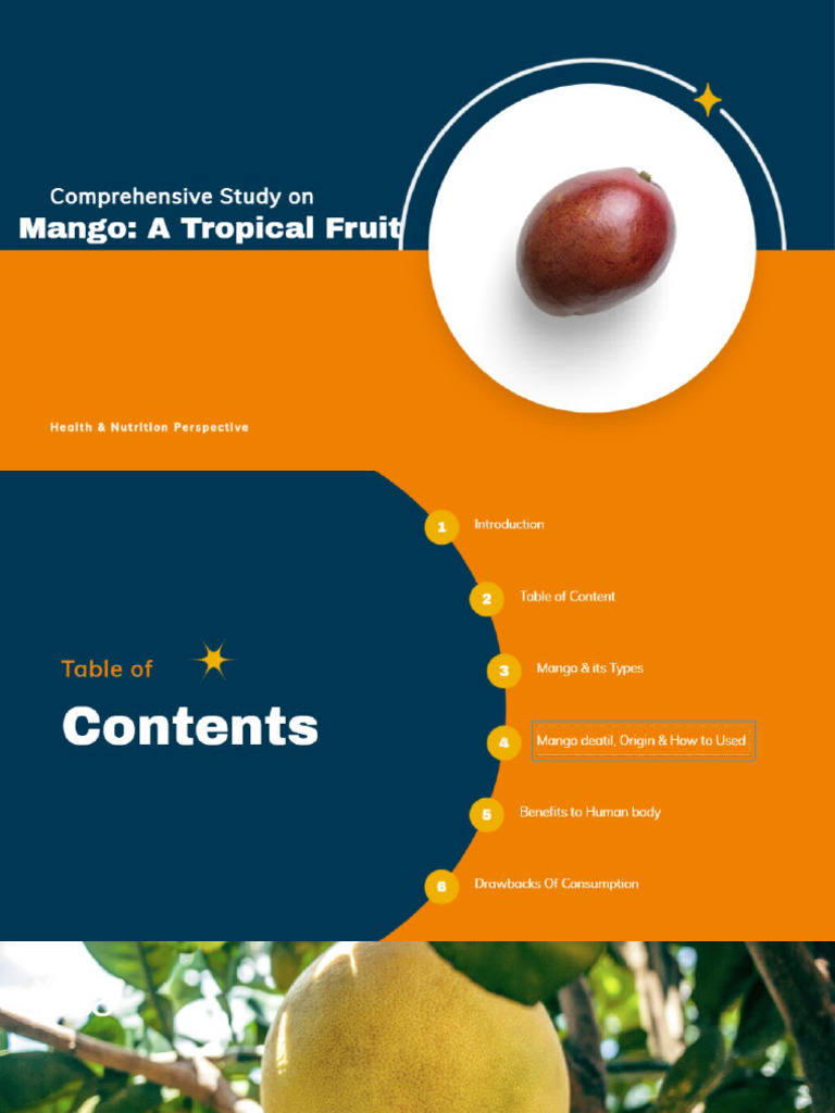 Mango Presentation | PDF